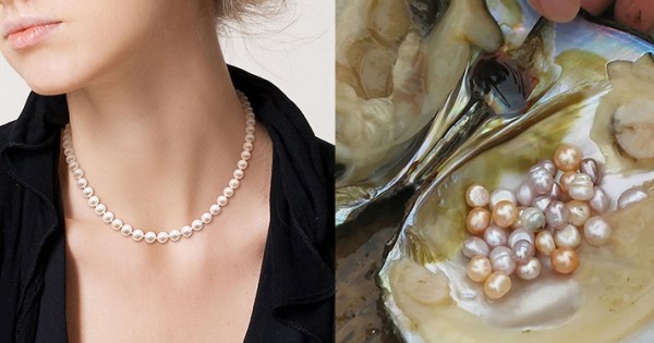 Freshwater Pearl Size: Everything You Need to Know